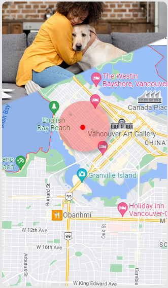 My Lost Pet – Smart Pet Finding Services